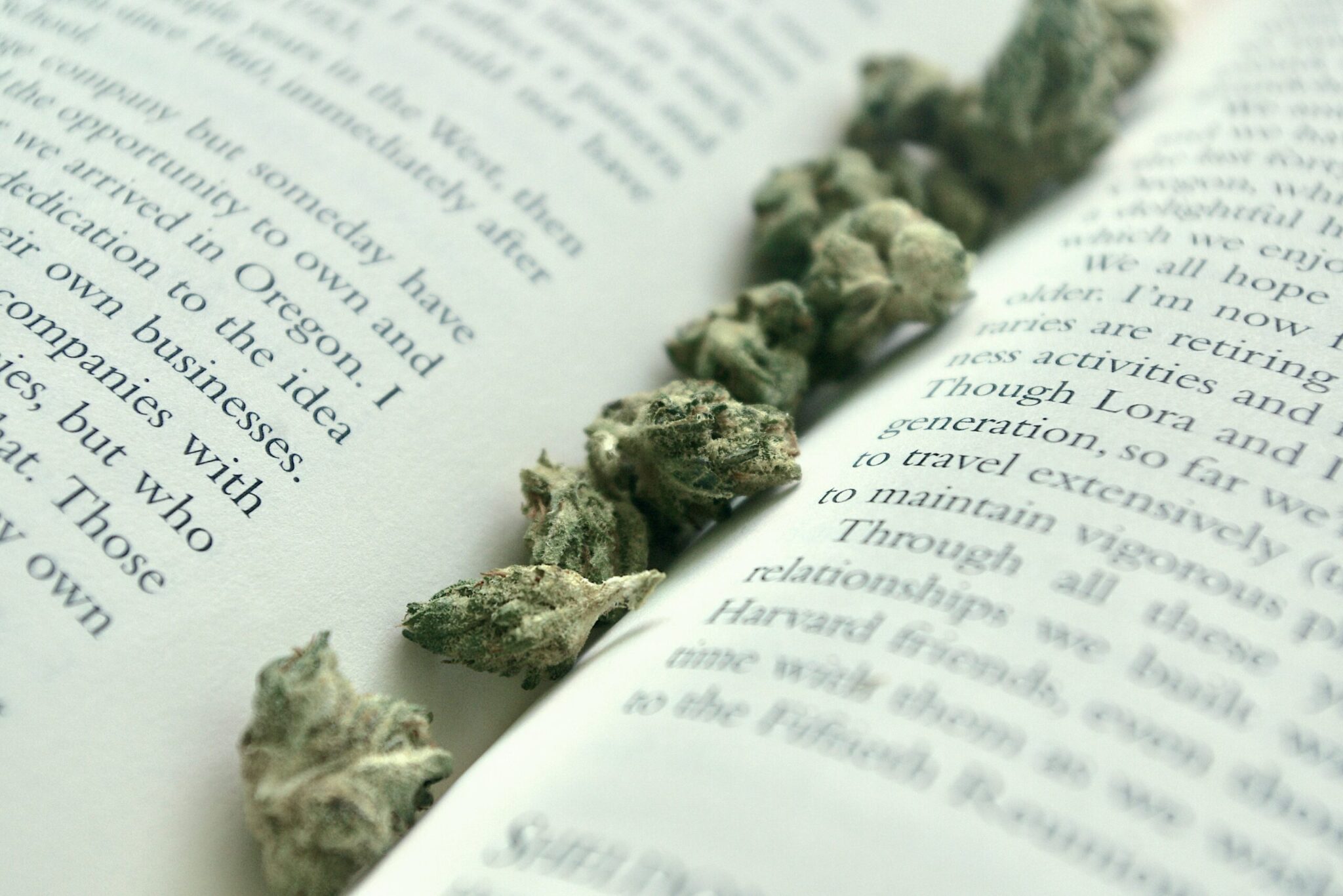 Is Weed Legal in DC? About DC Cannabis Law | Takoma Wellness